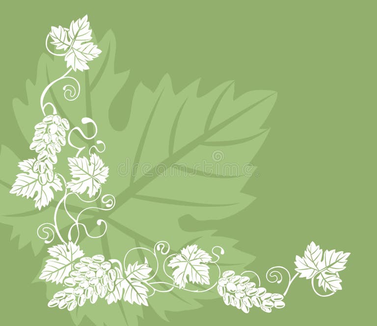 Elegant Grape Vine Stock Illustrations – 4,724 Elegant Grape Vine Stock ...