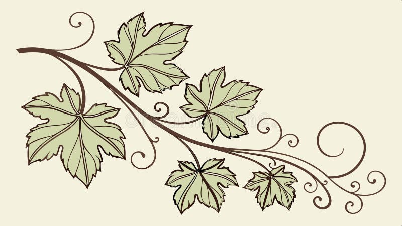 Grape Vine Corner with Leaves, Botanical Nature Vector Design ...
