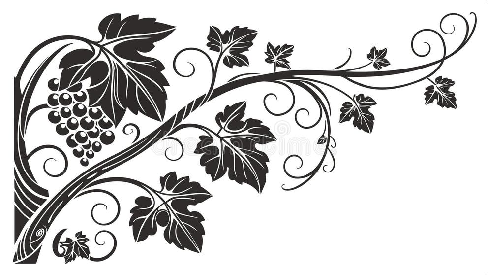 Grape Vine Corner Ornament, Vineyard Theme Design, Decorative Vector ...