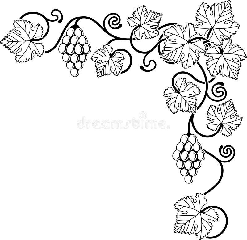 Grape vine design element stock vector. Illustration of food - 8153503