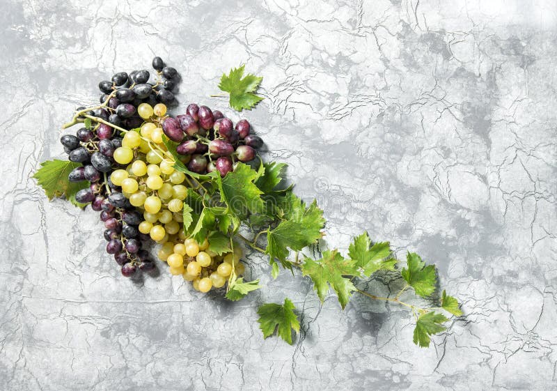 Grape Vine Green Leaves Concrete Stone Texture Food Background Stock ...