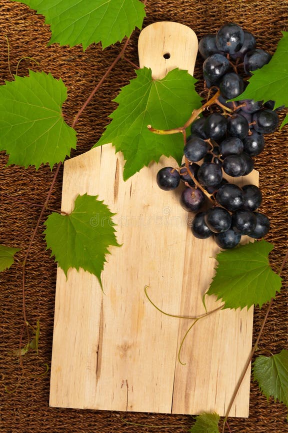 Grape stock image. Image of empty, autumn, vineyard, leaf - 64673831