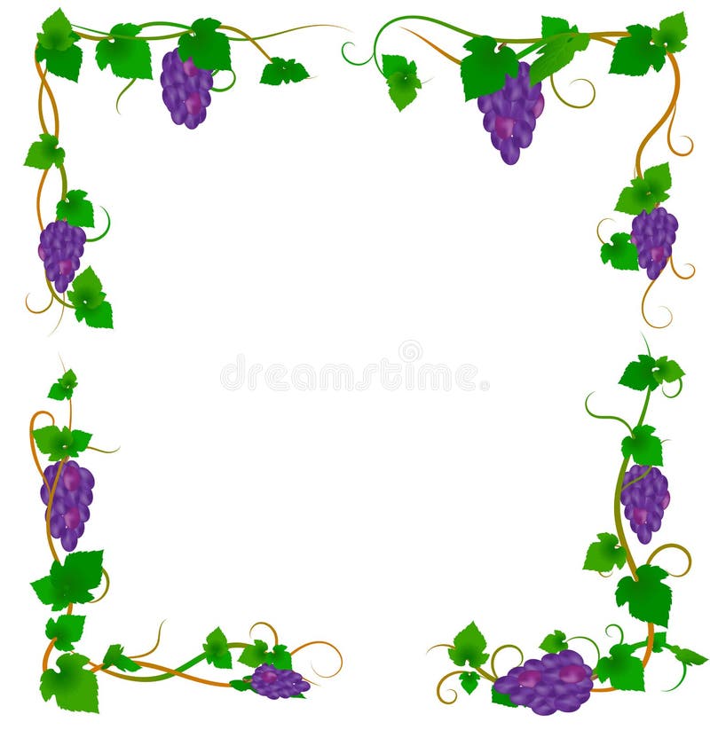 Grape Vines Frame Square Realistic Stock Vector - Illustration of food ...