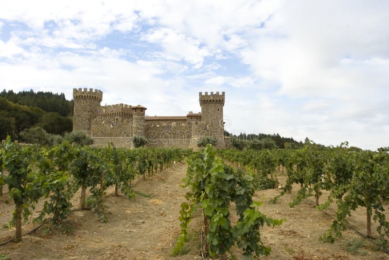 Grape vineyard with castle stock image. Image of total - 6575575
