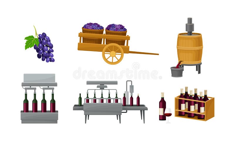 Fermentation Stock Illustrations – 6,841 Fermentation Stock ...