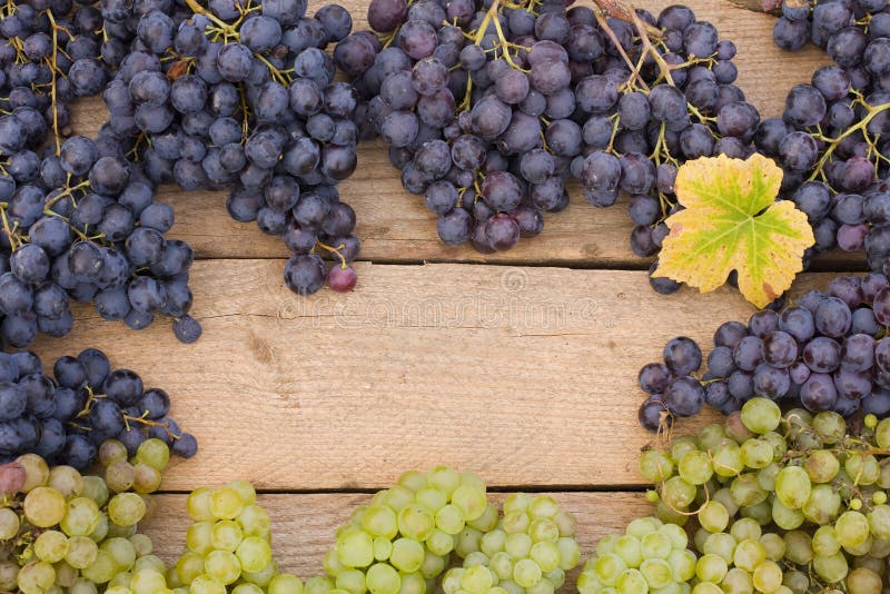 Grape on a wooden table stock image. Image of summer - 11407921