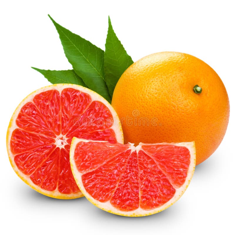 Grapefruit with slices. stock image. Image of citrus - 28160961