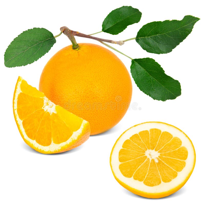 Grapefruit stock image. Image of exotic, closeup, full - 25821717