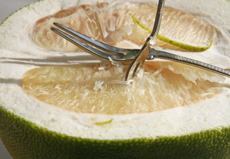 Grapefruit stock image. Image of citrus, crop, fruits - 29367669