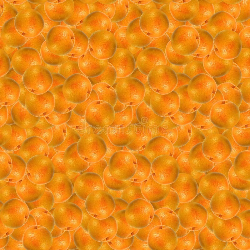 Grapefruit Citrus Fruit Seamless Pattern Texture Background Stock Photo ...