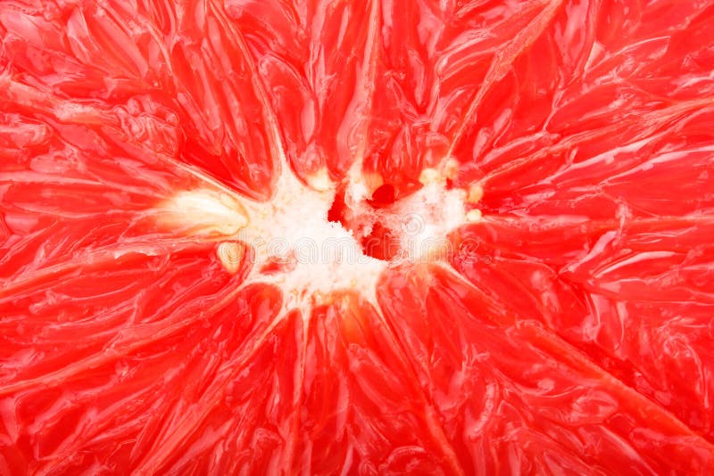 Grapefruit stock photo. Image of food, eating, citrus - 50432654