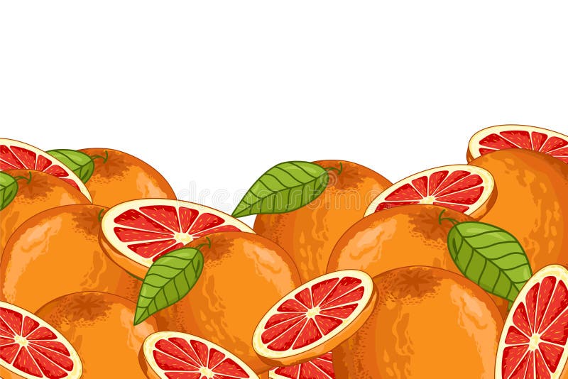 Grapefruit Composition Isolated Stock Vector - Illustration of juicy ...