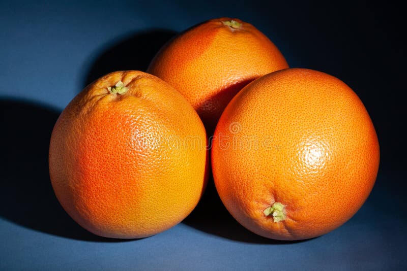 Grapefruit group on blue stock photo. Image of fruit - 209719692