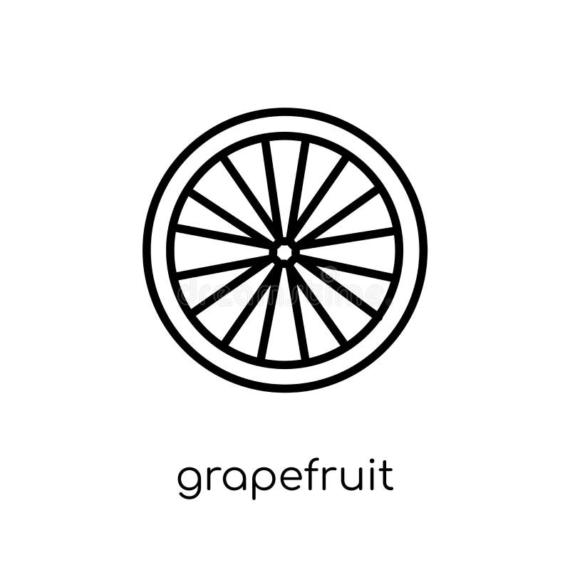 Grapefruit Linear Icon. Modern Outline Grapefruit Logo Concept O Stock ...