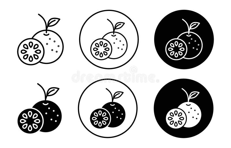 Grapefruit Icon stock vector. Illustration of juicy - 325374687