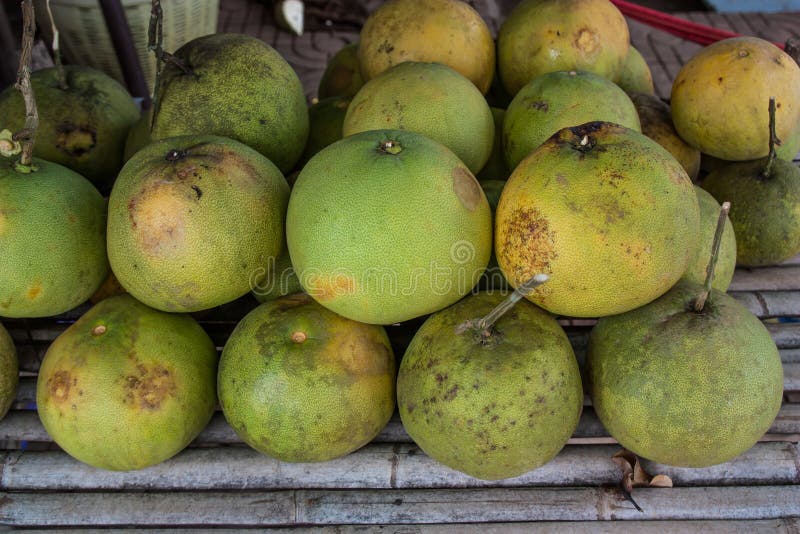 Grapefruit market. stock photo. Image of white, orange - 42854124