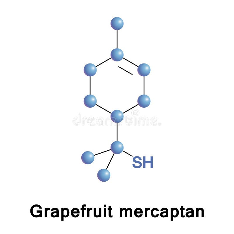 Grapefruit Mercaptan Monoterpenoid Stock Vector - Illustration of ...