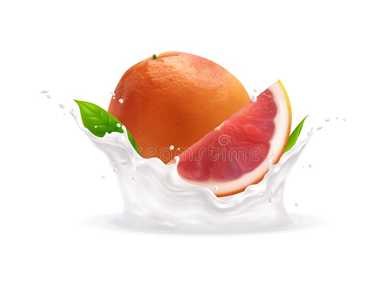 Grapefruit Milk Splashes Illustration Stock Vector - Illustration of ...