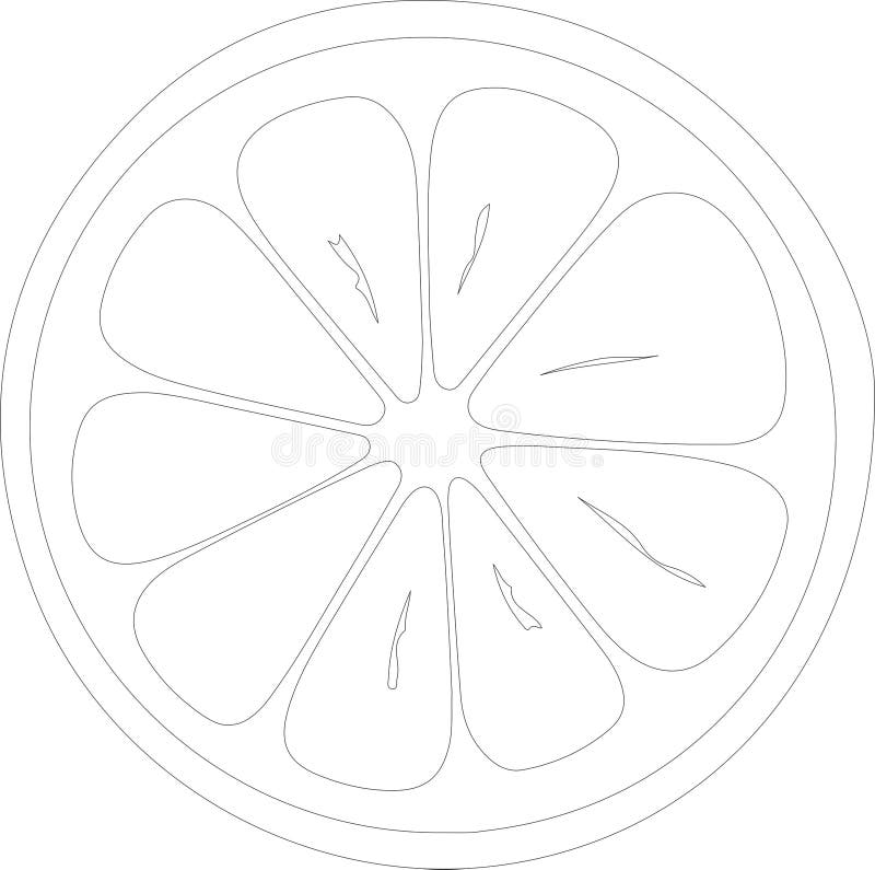 Grapefruit Outline Silhouette Generative Ai Stock Illustration ...