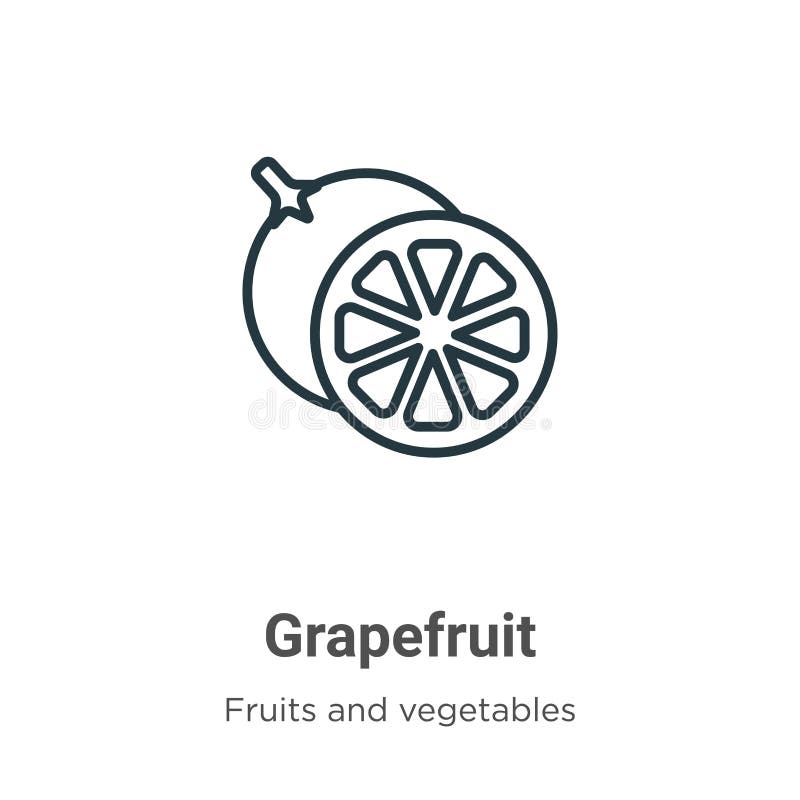 Grapefruit Outline Vector Icon. Thin Line Black Grapefruit Icon, Flat ...