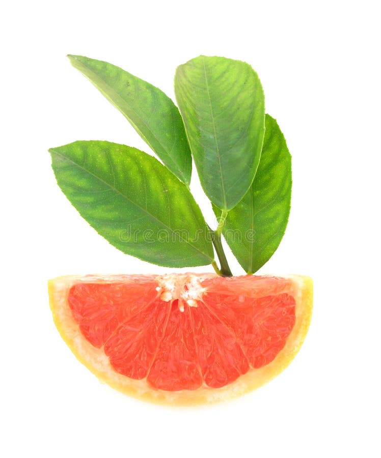 Grapefruit ruby red stock image. Image of branch, citrus - 10774809