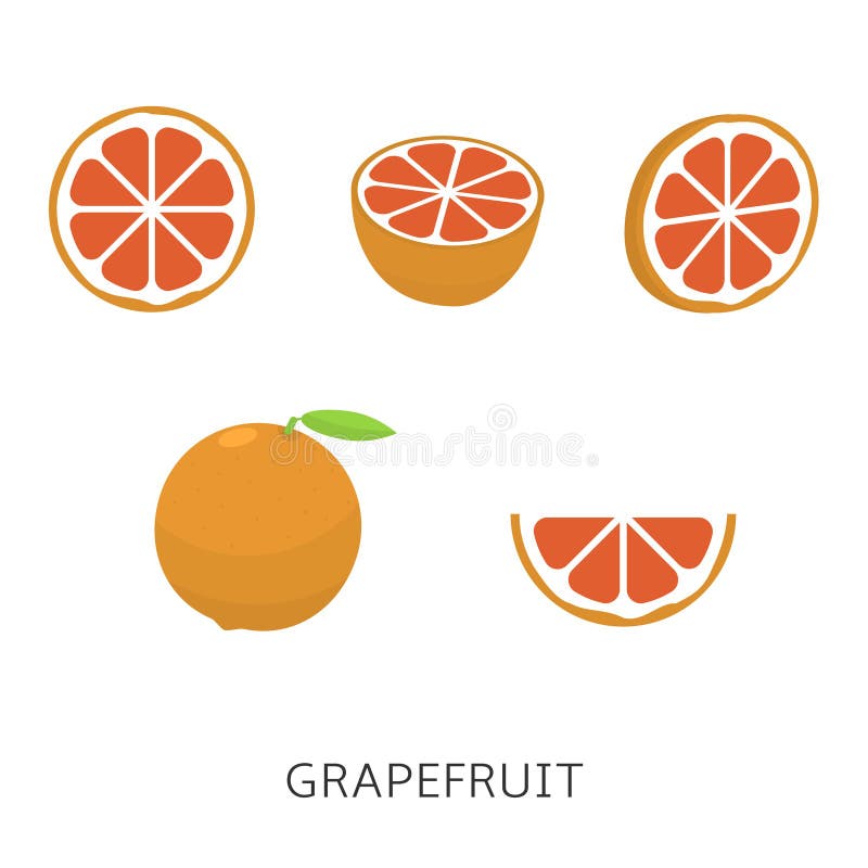 Grapefruit Set Vector Illustration Stock Vector - Illustration of diet ...