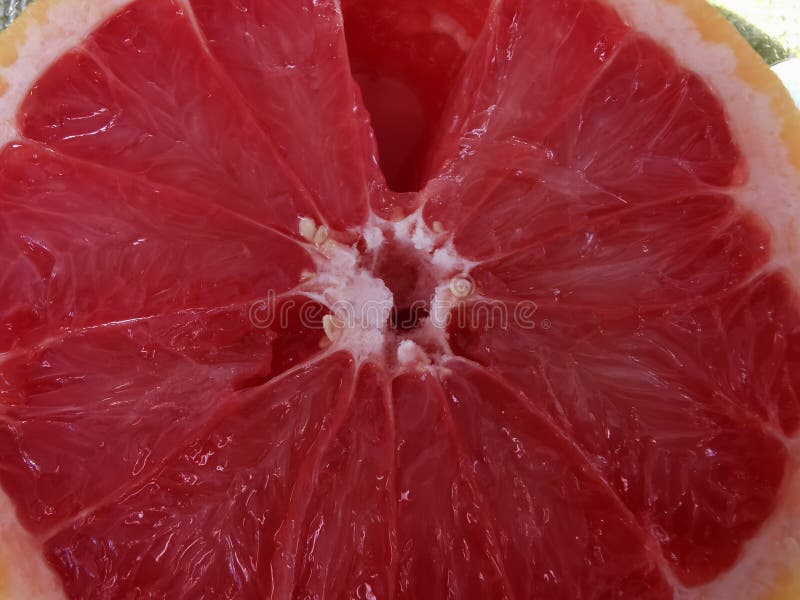 Grapefrukt sweden fruit stock image. Image of flower - 181173203
