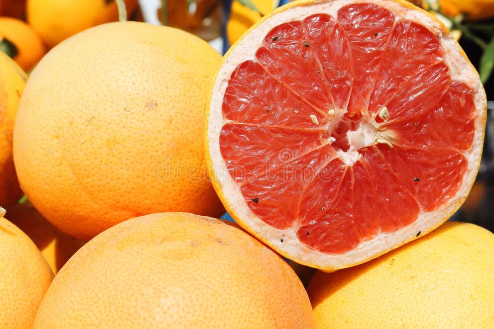 Grapefuit stock image. Image of color, fruit, isolated - 70393119