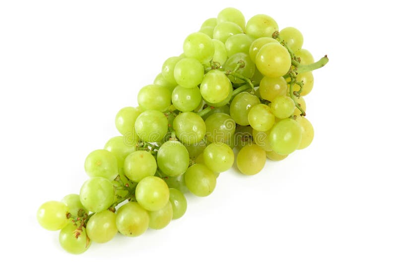 Corn on the cob stock photo. Image of yellow, grain, niblet - 1792404