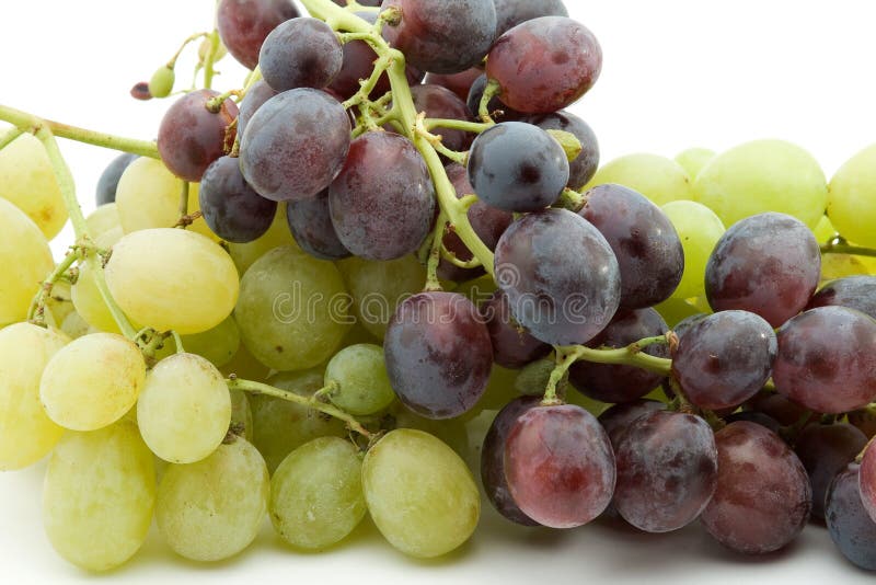 Three Different Types of Grapes Stock Photo - Image of grape, fruit ...