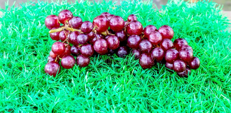 Grapes Artificial Turf Stock Photos - Free & Royalty-Free Stock Photos ...