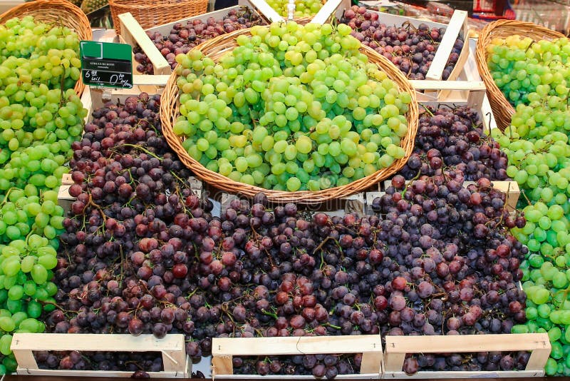 Grapes and basket stock photo. Image of flows, green - 44191050