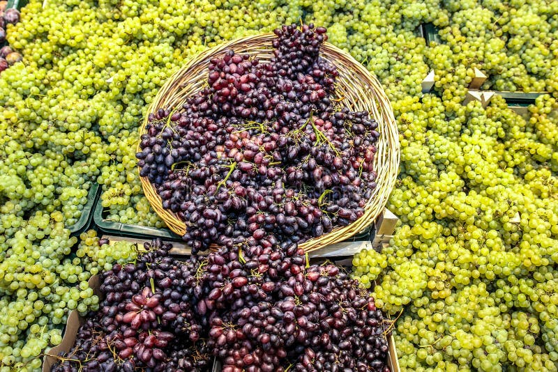 Grapes and basket stock image. Image of vegetables, falling - 44191171