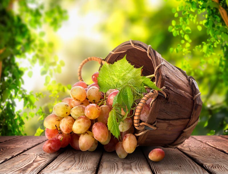 Grapes in a basket stock photo. Image of sweet, objects - 38454442