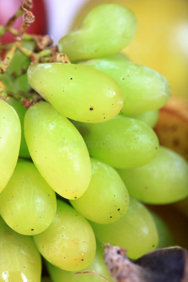 Grapes stock photo. Image of closeup, fruit, juicy, healthy - 52011342