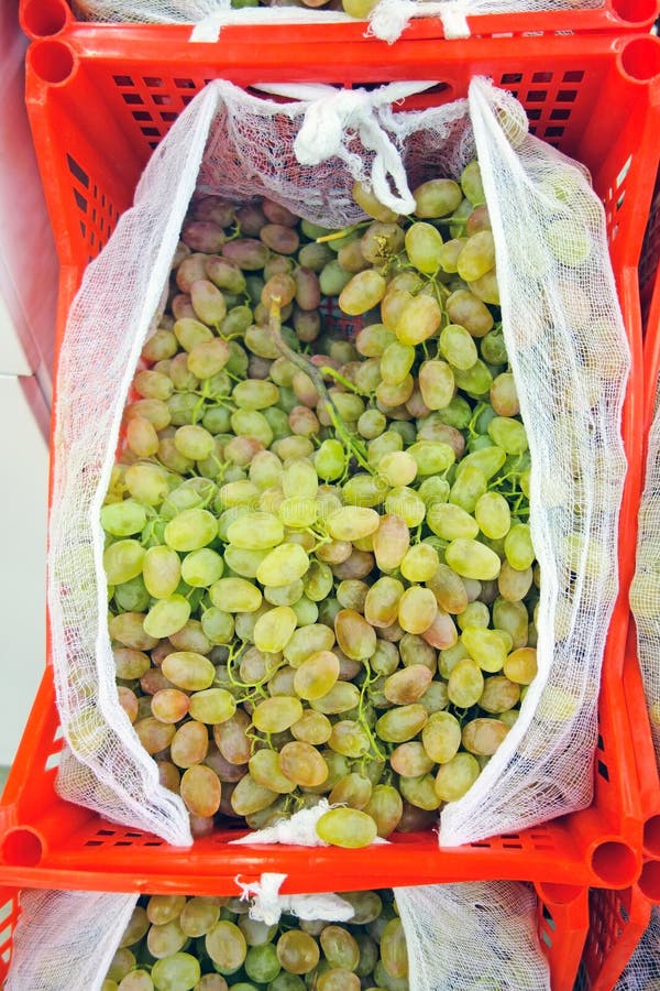 Grapes in the Boxes on the Shelves Stock Image - Image of plastic, food ...