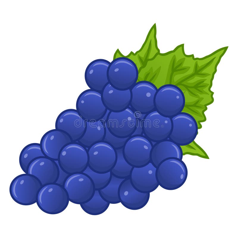 Grapes Cartoon Drawing Illustration Vector Stock Vector - Illustration ...