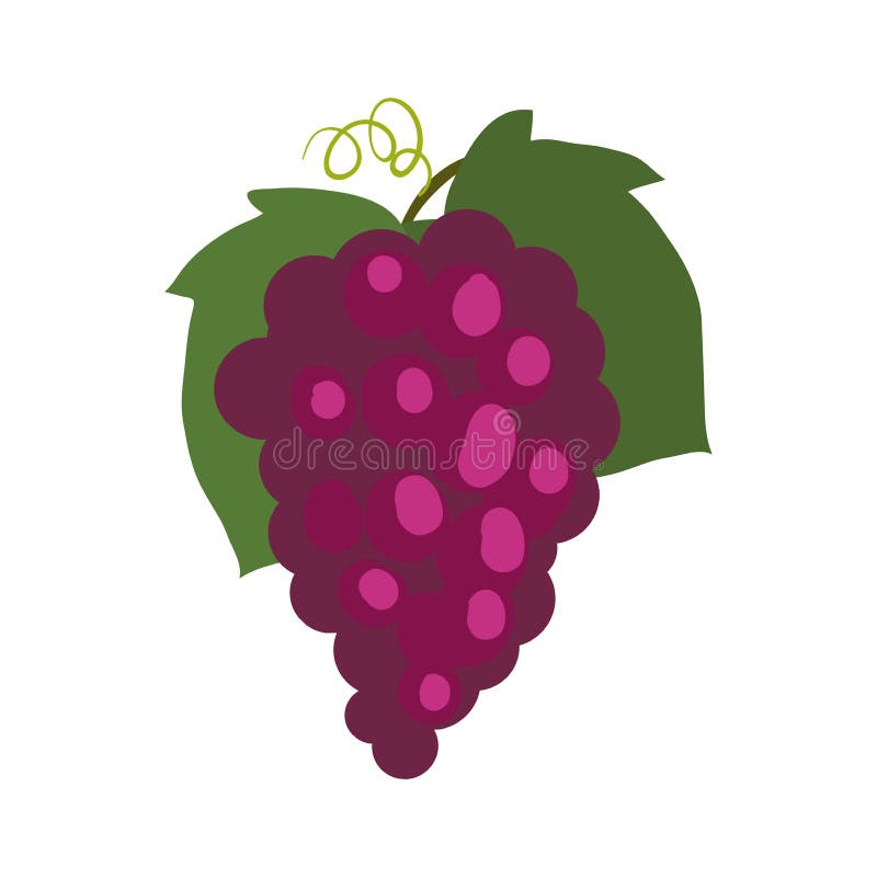 Grapes clip art stock vector. Illustration of fresh - 232183612