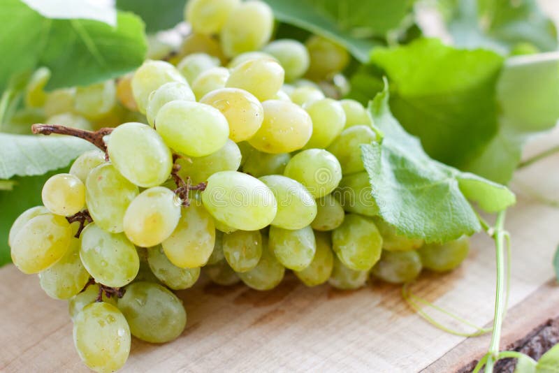 Grapes a Close-up on the Board Stock Photo - Image of ripe, leaves ...