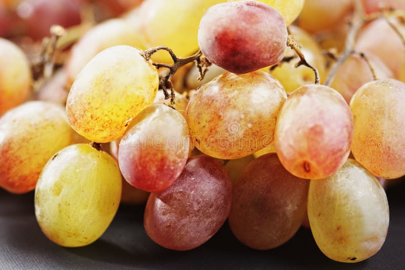 Grapes closeup stock image. Image of fruit, focus, grapes - 14229771