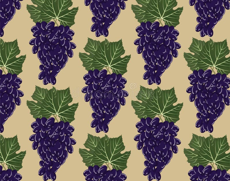 Grapes clusters texture stock vector. Illustration of agriculture ...
