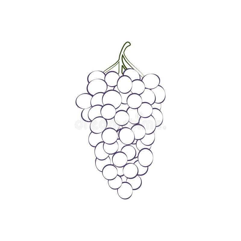 Grapes Coloring Book. a Ripe Bunch of Grapes. Ripe Grapes. an Image of ...