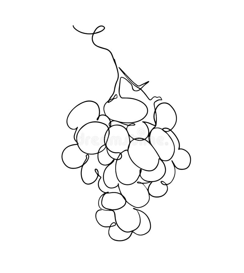 Grapes Line Drawing Grapes Fruit Drawing Black And White Vector Free