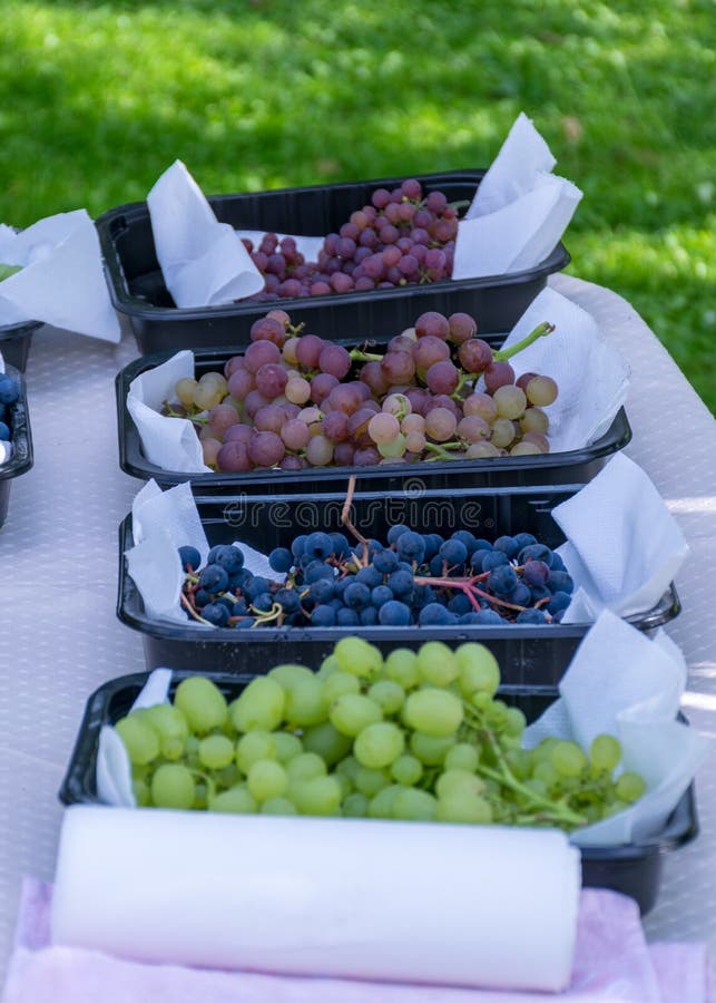 The Colors of Table Mountain Stock Photo - Image of nature, sand: 6744784