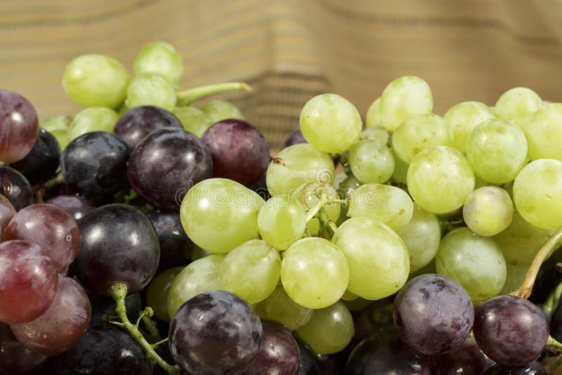Grapes of Different Types and Colors Stock Image - Image of white ... Grapes of Different Types and Colors Stock Image - Image of white ...