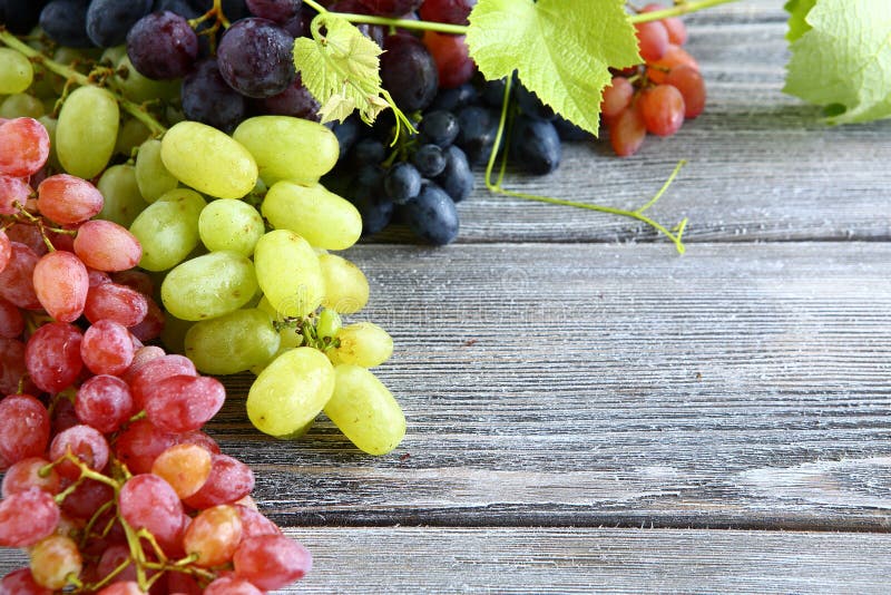 Grapes of Different Varieties Stock Photo - Image of season, board ...