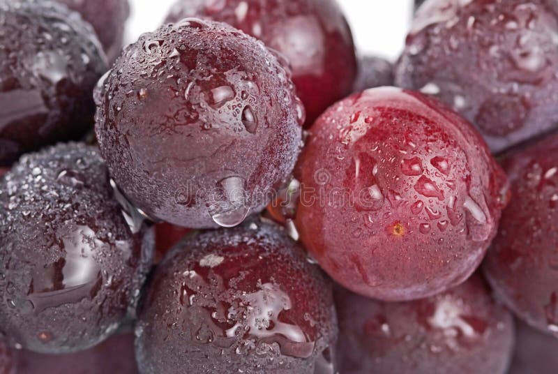Grapes with Drops, Fresh Fruit. Stock Photo - Image of macro, seasonal ...