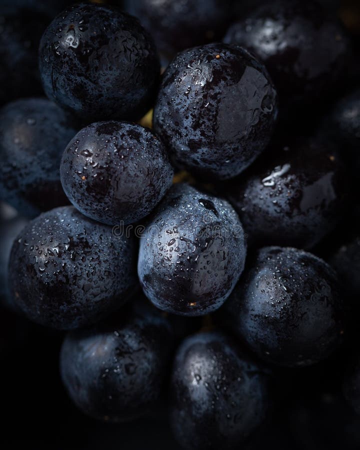 Grapes stock photo. Image of produce, healthy, ripe - 143696496