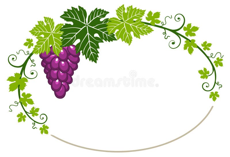 Grapes Frame with Leaves on White Background Stock Vector ...