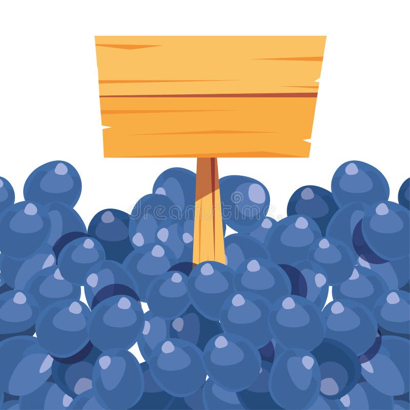Grapes Fresh Vegetable Farm Wooden Placard Stock Illustration ...